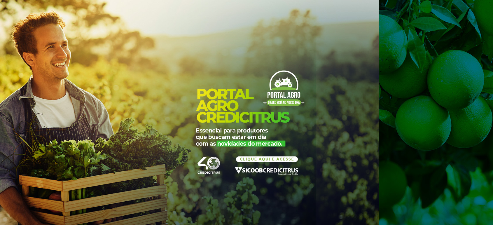 4-PORTAL AGRO-2-FEV-BANNER SITE – Sicoob Credicitrus
